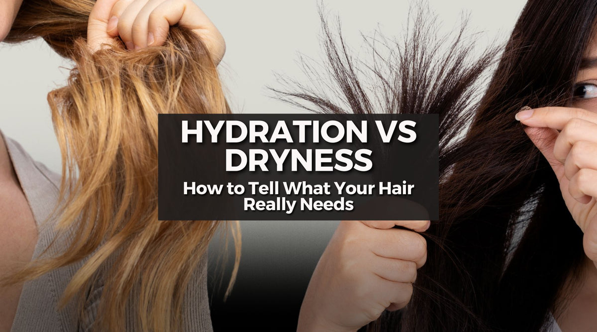 Hydration vs. Dryness: How to Tell What Your Hair Really Needs ...