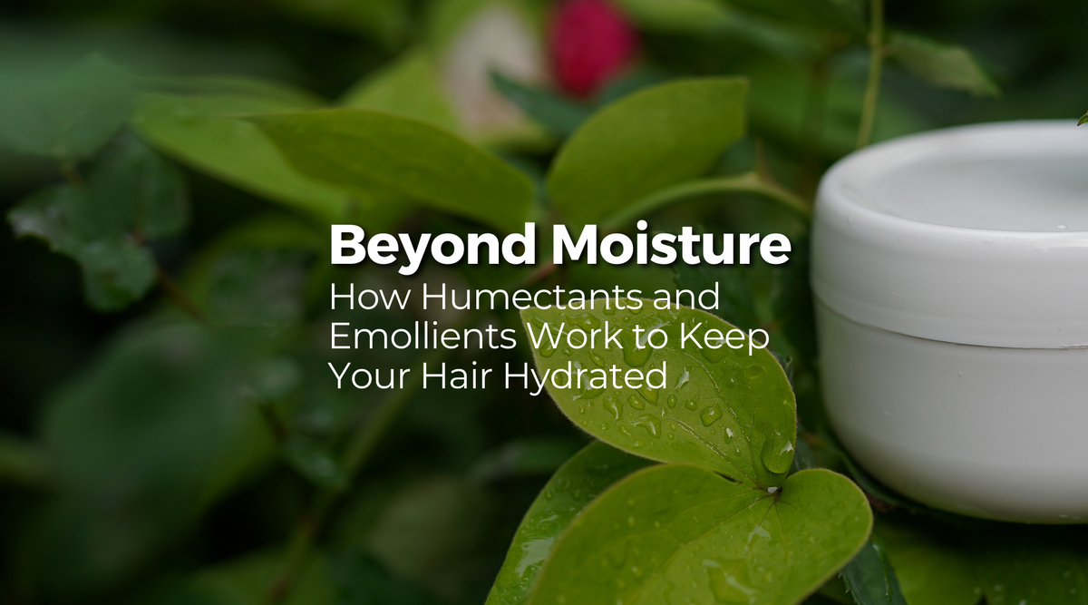 How Humectants and Emollients Work to Keep Your Hair Hydrated | BodFood ...